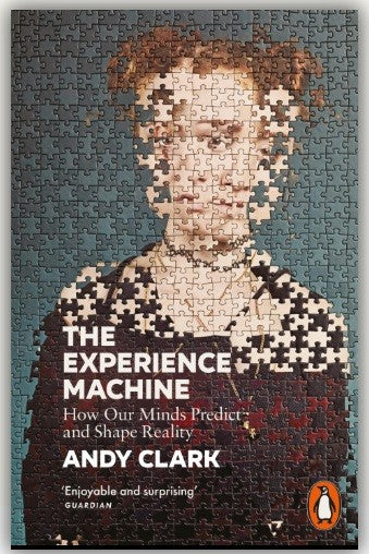 Experience Machine – Editura ASCR